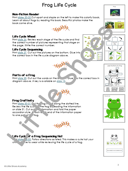 Kindergarten Science Life Cycles – Little Shoes Academy