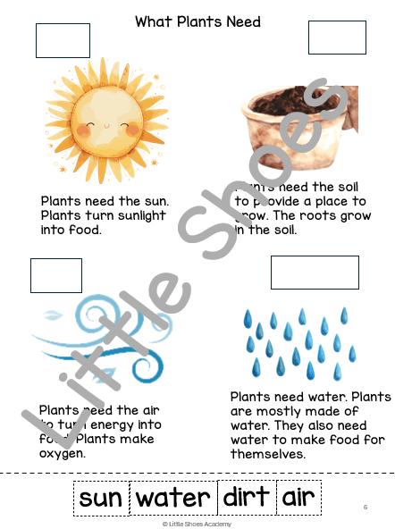Kindergarten Science Life Cycles – Little Shoes Academy