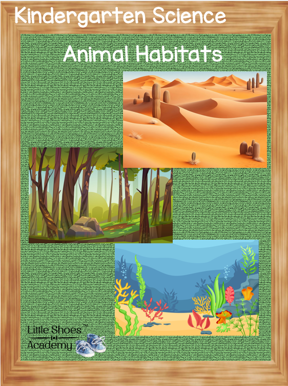 Science Animal Habitats Cover – Little Shoes Academy